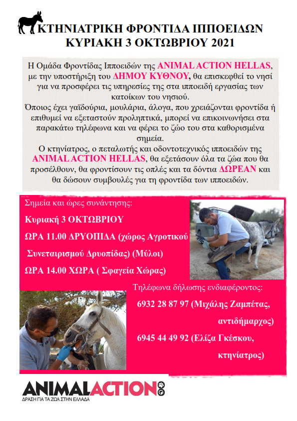 Κτηνιατρική φροντίδα ιπποειδών - Κύθνος